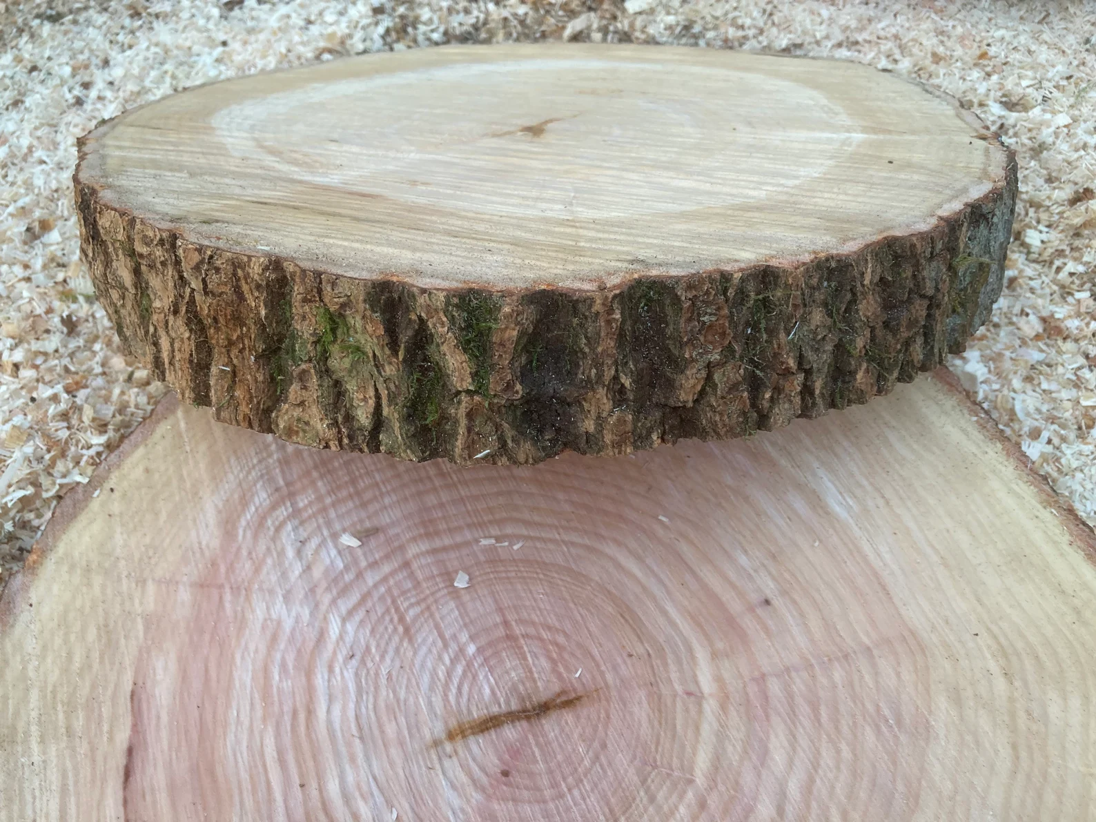 Tree rounds etsy 1 – Wood Create