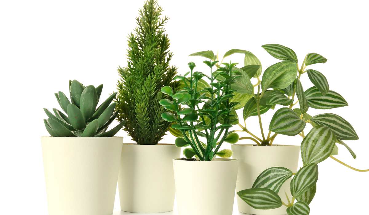 Artificial Plants: Beauty and Convenience - Wood Create