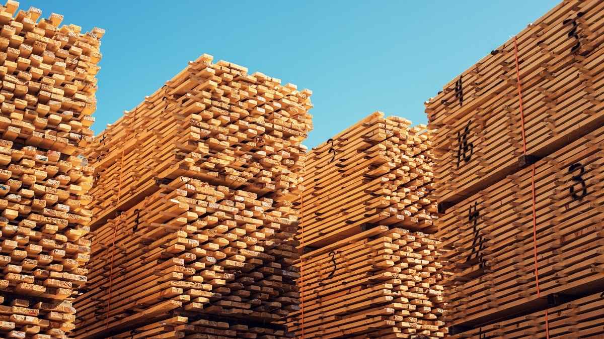 Best Lumber Suppliers in Florida - Wood Create
